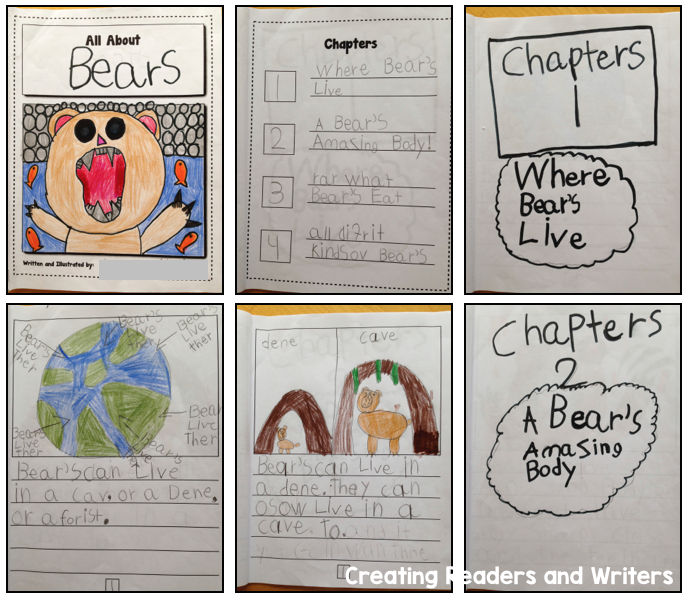1st Grade Writing: Animals People Love to Hate! - Andrea Knight