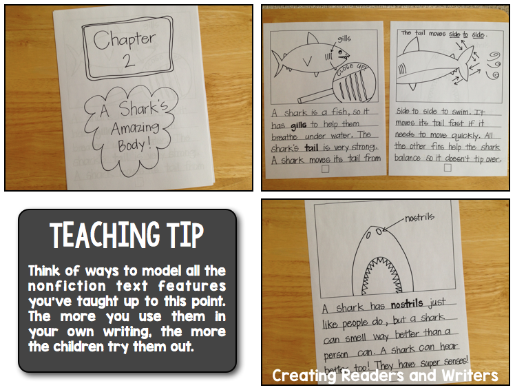 1st Grade Writing: Animals People Love to Hate! - Andrea Knight