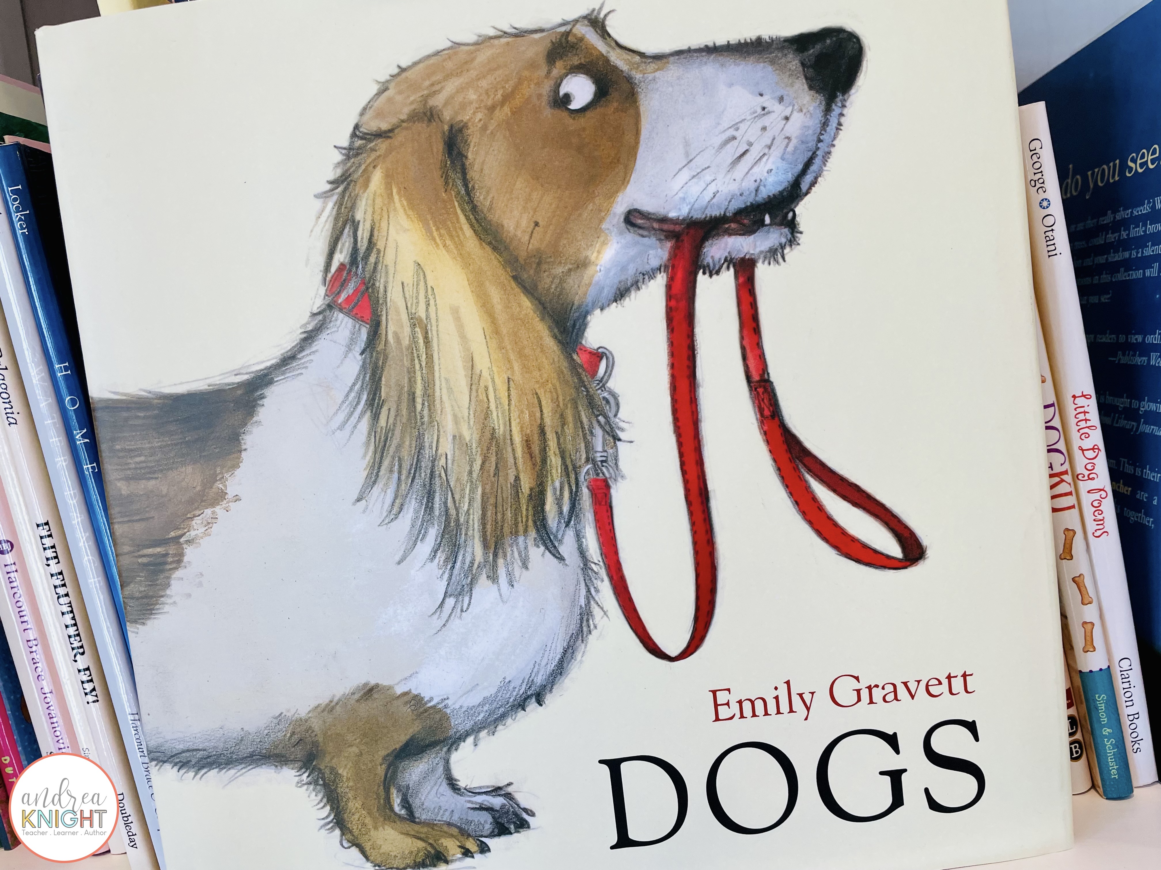 Opposites Activities for Children - Andrea Knight