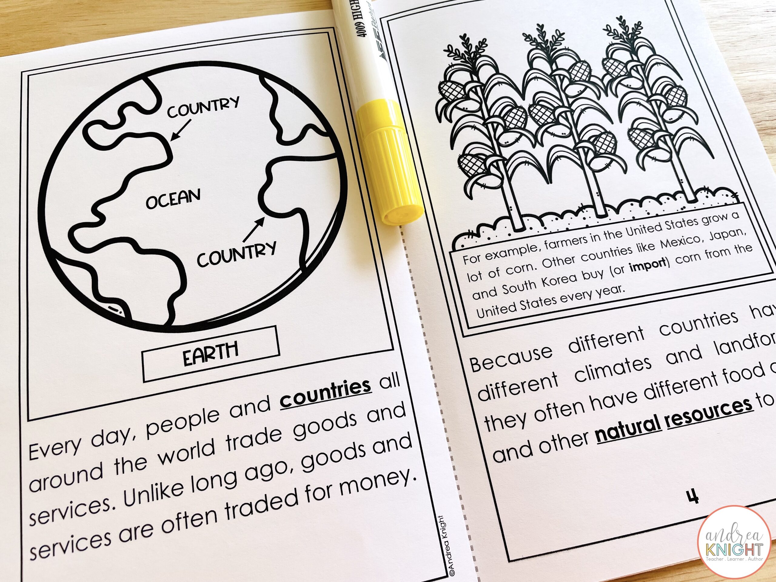Teaching Basic Economics in First Grade - Andrea Knight