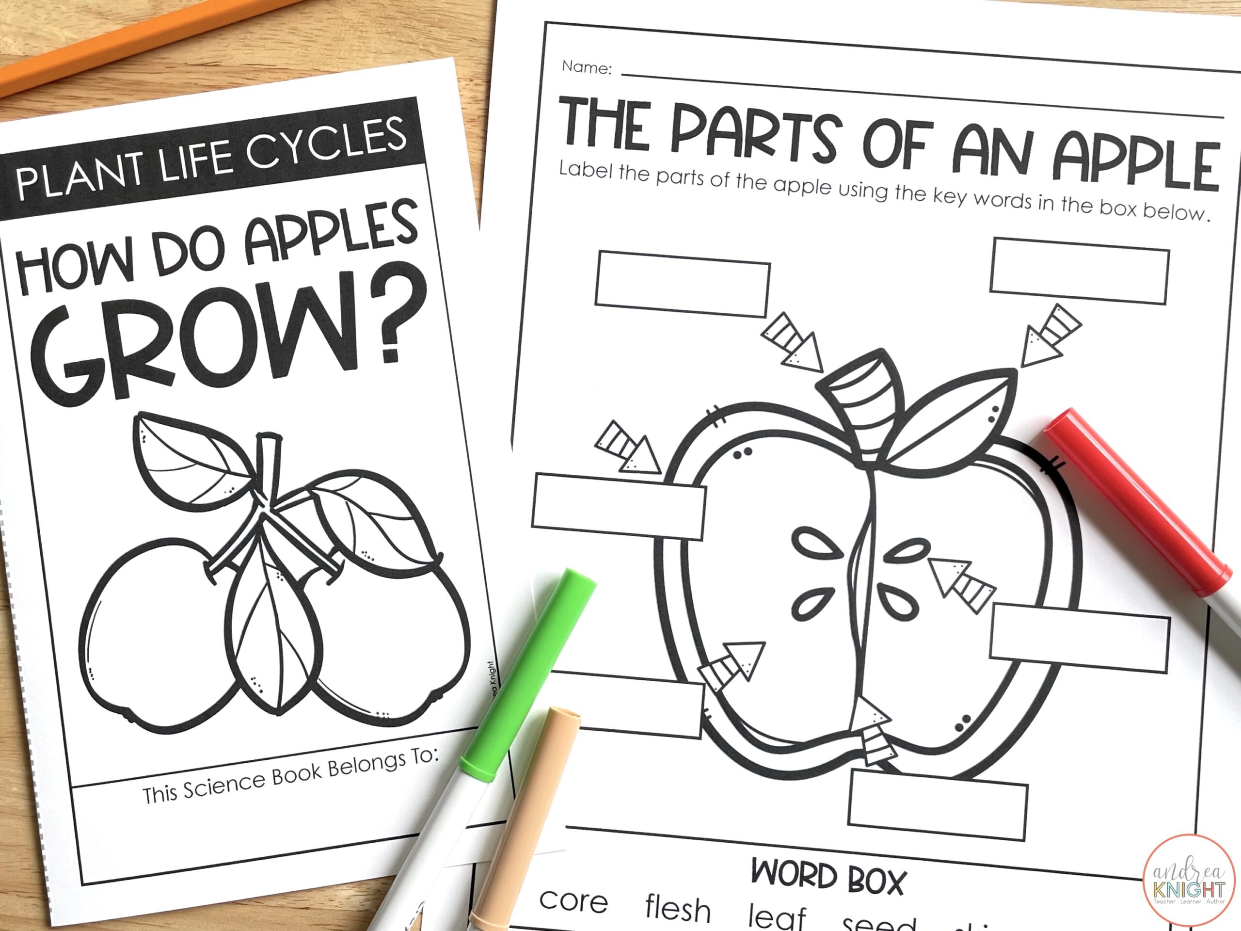 Apple Day Activities for Kids - Andrea Knight